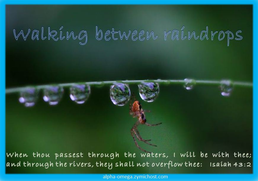 My daily walk with Jesus Christ: Dancing between the raindrops