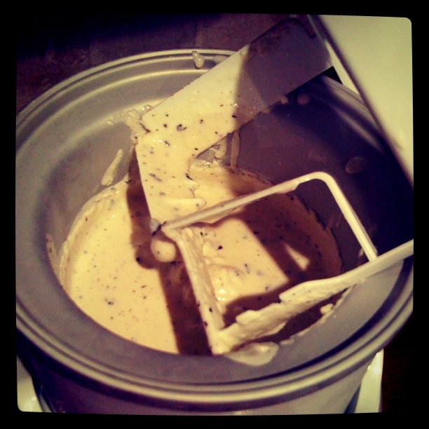 Sarah with an H: Homemade IceCream