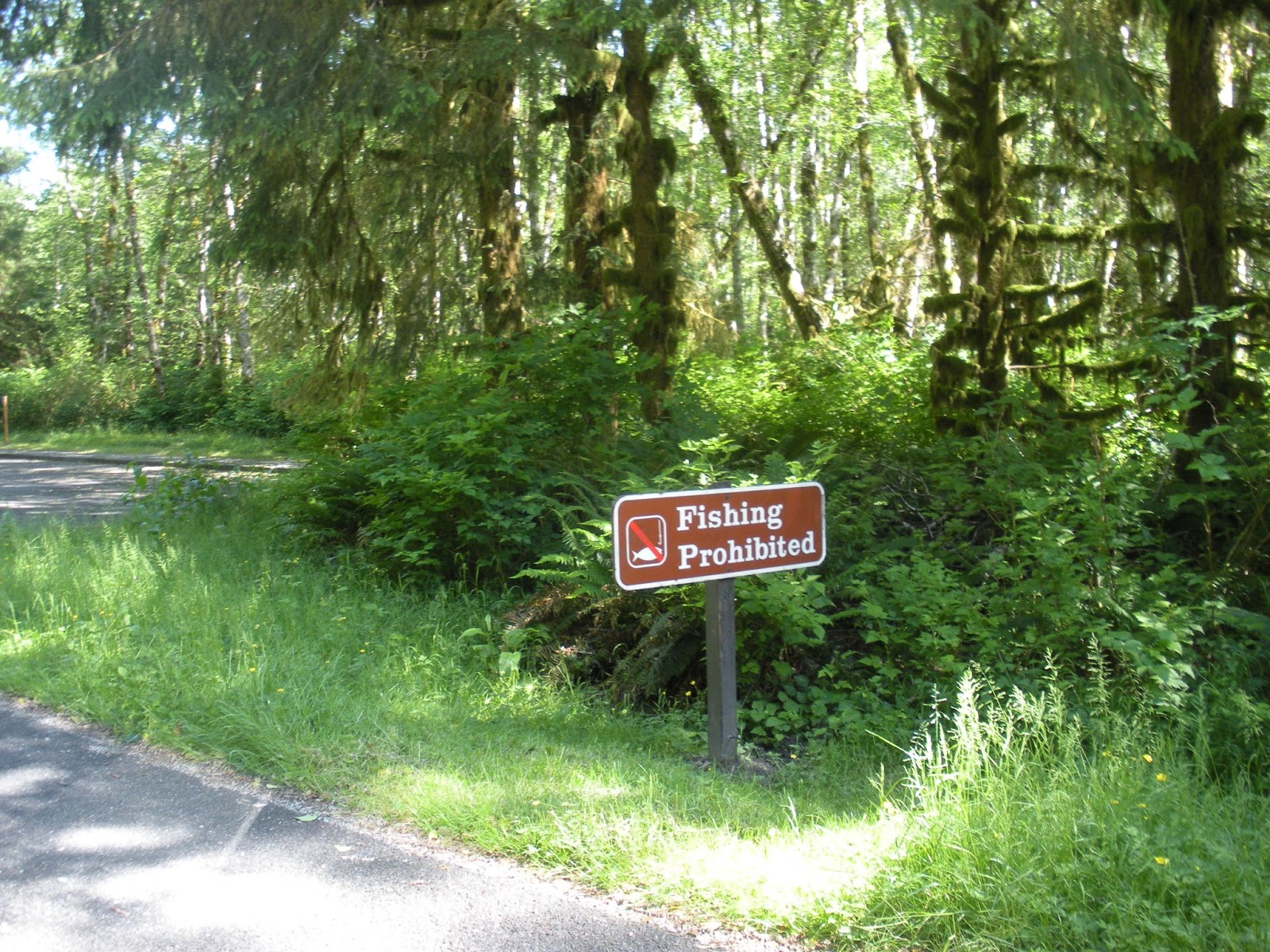PAT NEAL WILDLIFE: Places On The Olympic Peninsula to Send People You ...