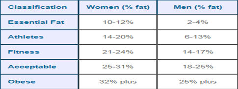 Stay Fit Live Fit: Learning About Body Type