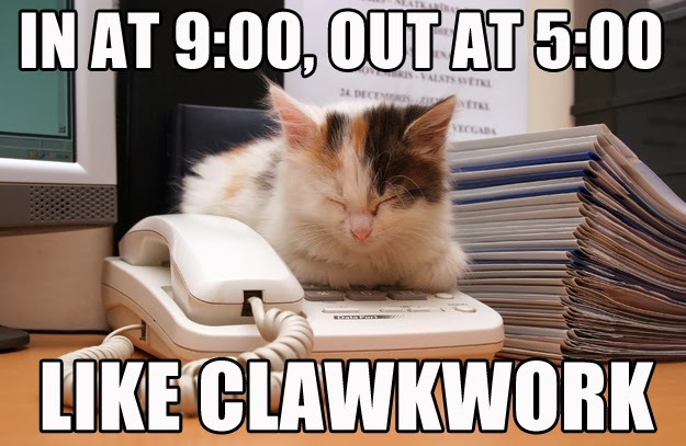 Cats Rule: Computer Trouble? Our IT Department Can Help Its Purrformance!