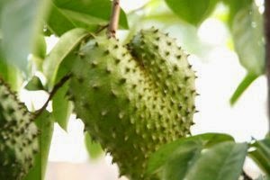 MAAJABU YA TUNDA LA STAFELI ~ Afya Na Kiasi