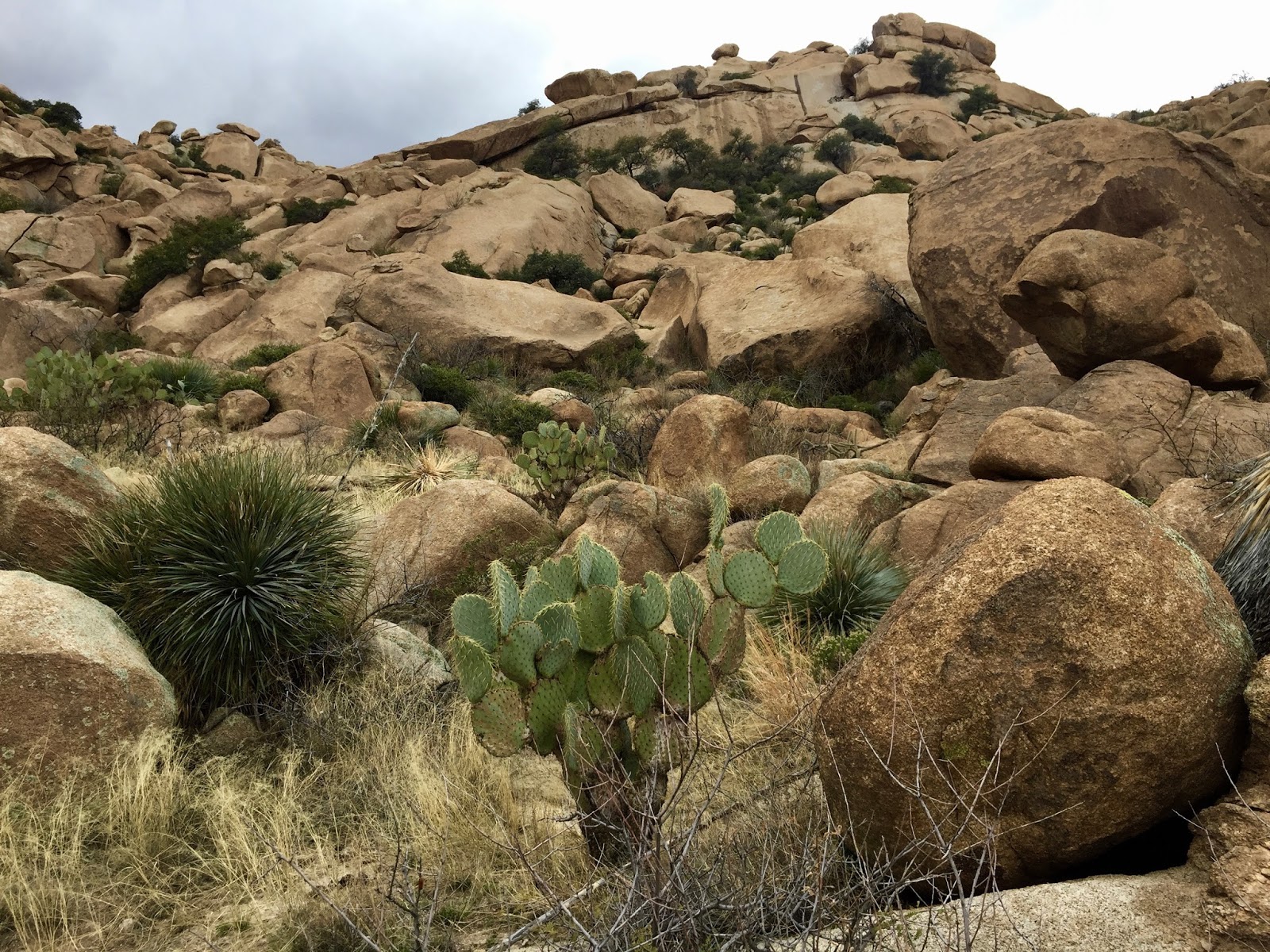 BlaNicS Waypoints: Indian Bread Rocks Recreation Area