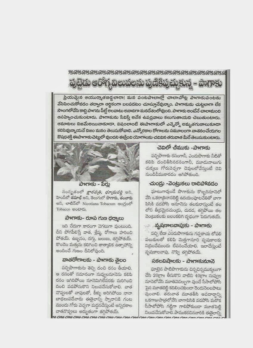 AYURVEDAM - ఆయుర్వేదం: POGAKU / TOBACCO - AYURVEDIC USES