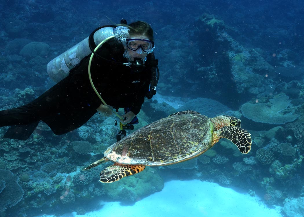 Savannah: The Rock Islands, Palau