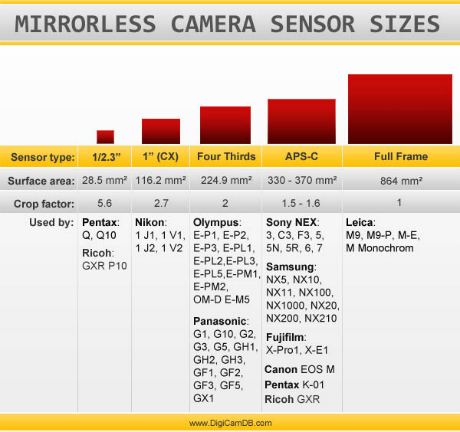 Daily Journal: Perbandingan Ukuran Sensor di Kamera Mirrorless