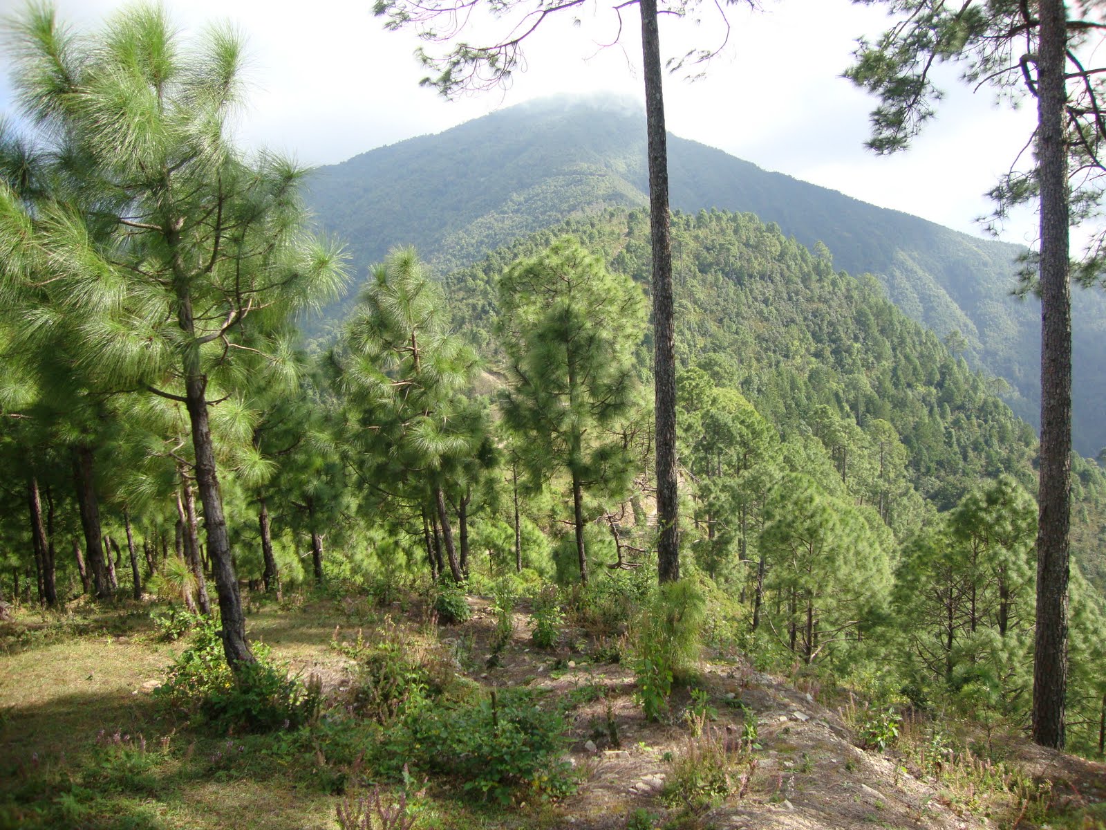 See My Nepal (Photo Blog): Resunga View, Resunga Forest of Gulmi ...