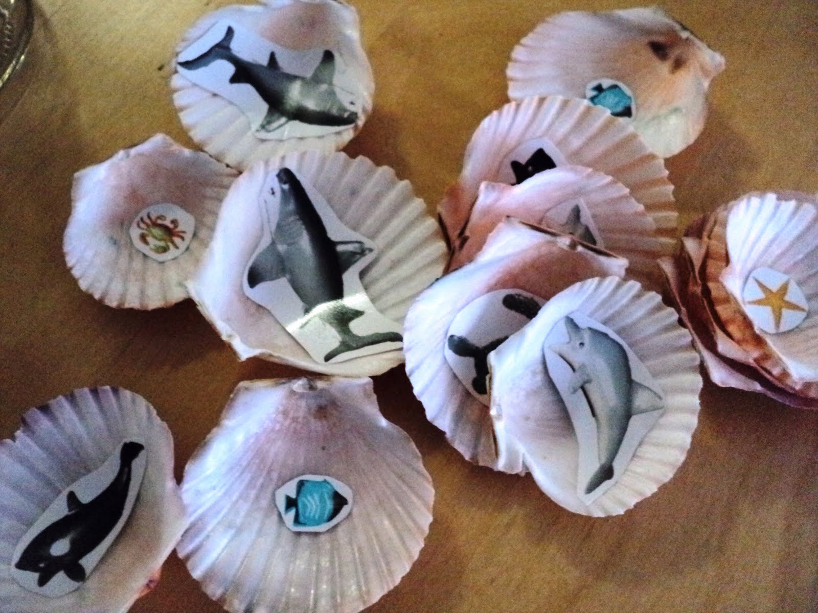 A Little Learning For Two: Seashell Matching Game