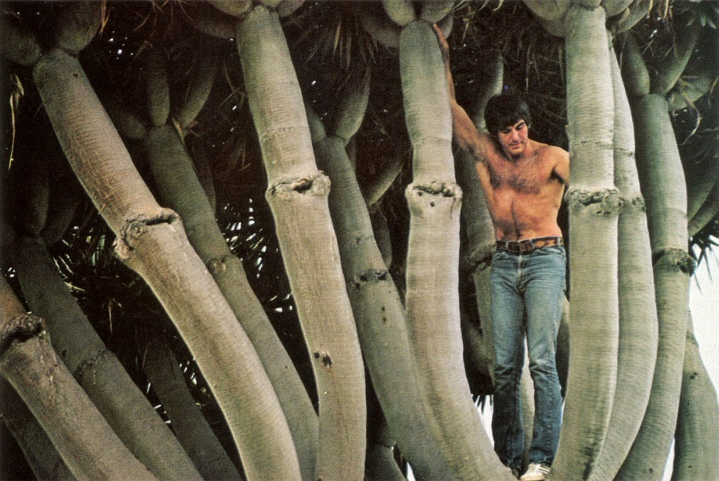 Welcome to my world.... : Nick Dimitri - VIVA - January 1974