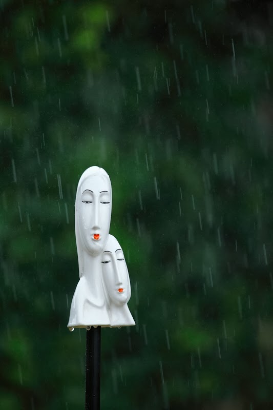 School Of Digital Photography: How to Photograph Rain Drops