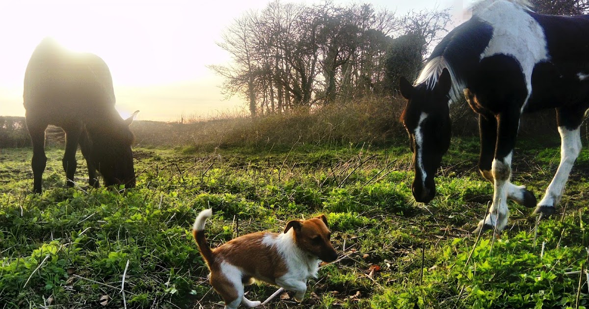 The road to Balmoral...........