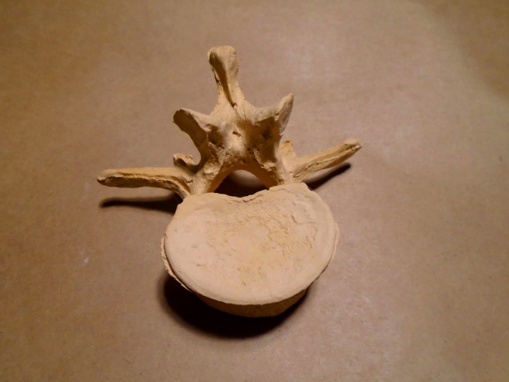 oase gips: Oase din gips