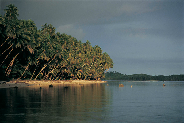 The Beach : Beaches of Nias Island