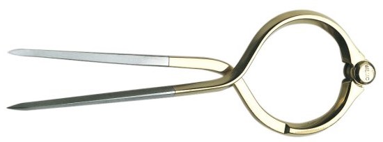 'ZIEN EN WETEN': PASSER. WAT IS DAT?