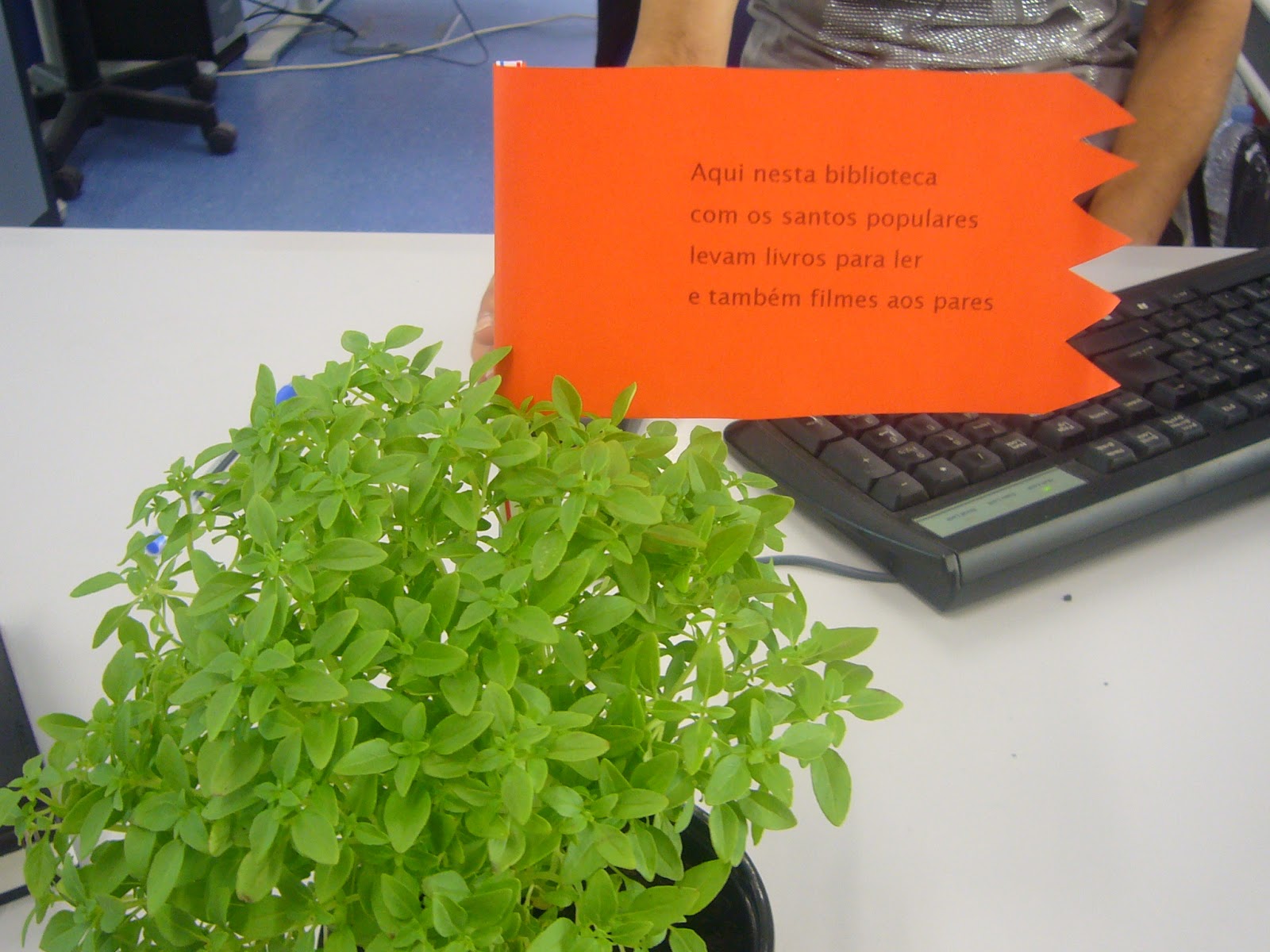 Tradição: O Manjerico! - Um Blog entre Bibliotecas