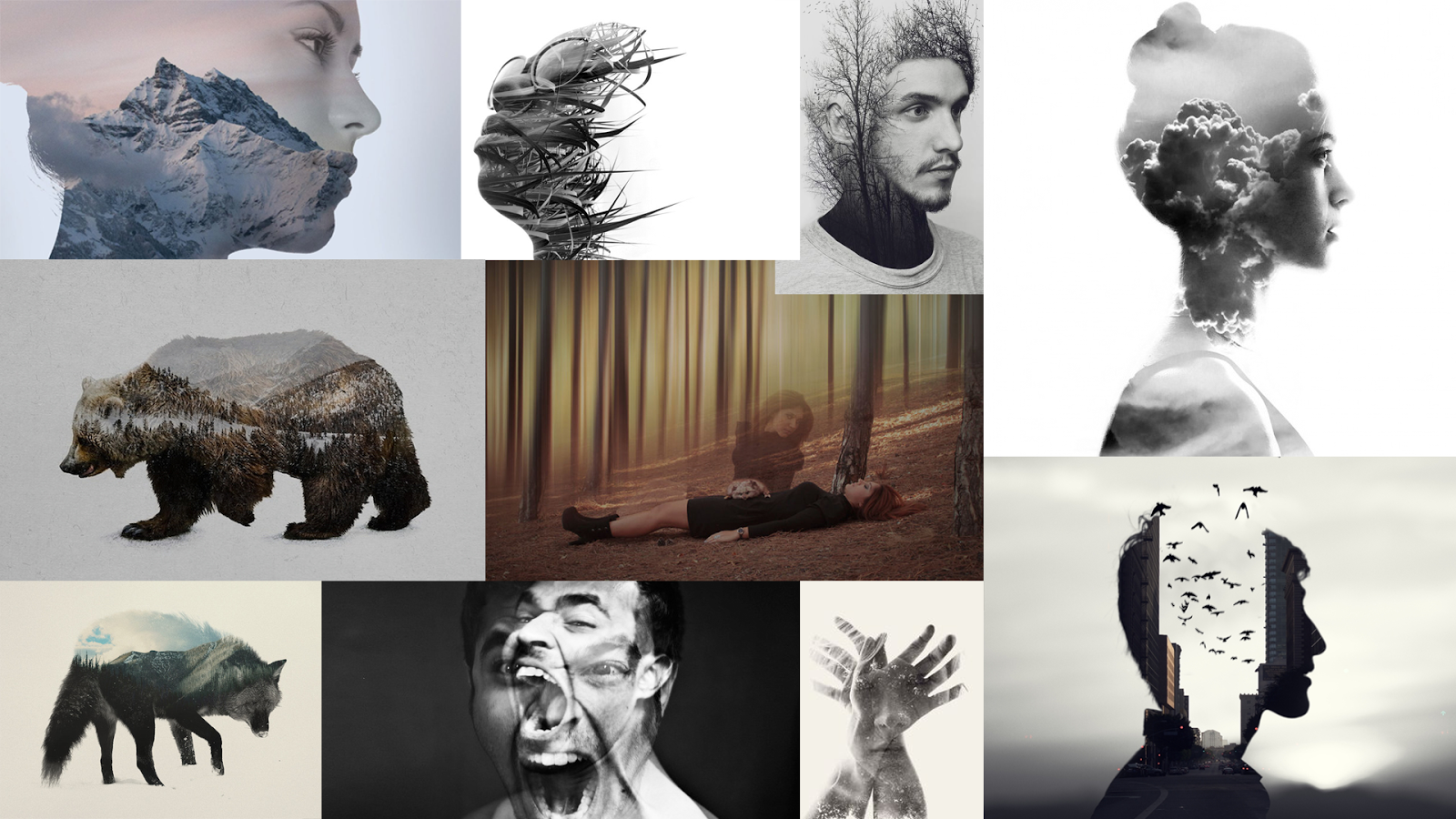 Hayleigh's Animations: Semester 2 Visual Effects: Moodboarding