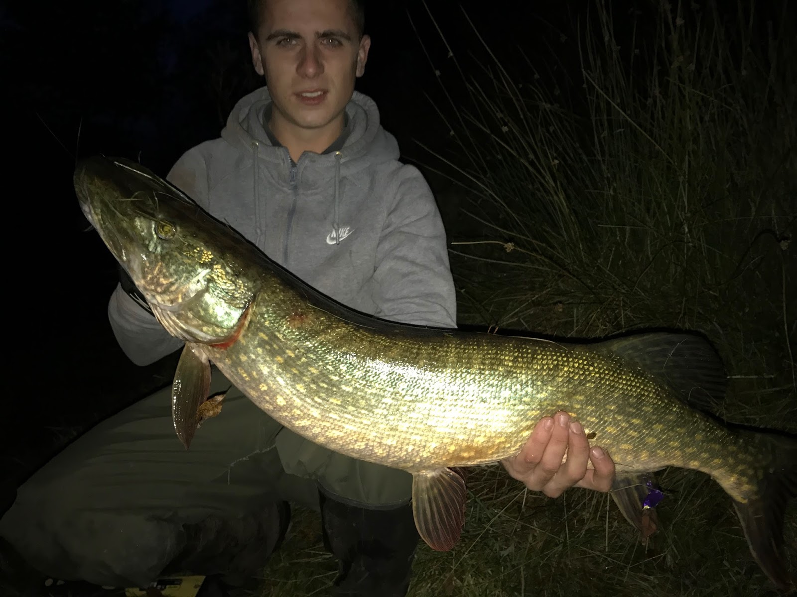 Fishingmegastore Fish of the Month Entry November 2016 - Rainbow Pike!