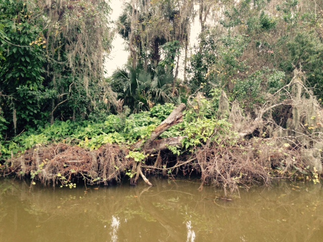 NEW ENGLAND FOLKLORE: Swamp Woman and Other Dangerous Spirits