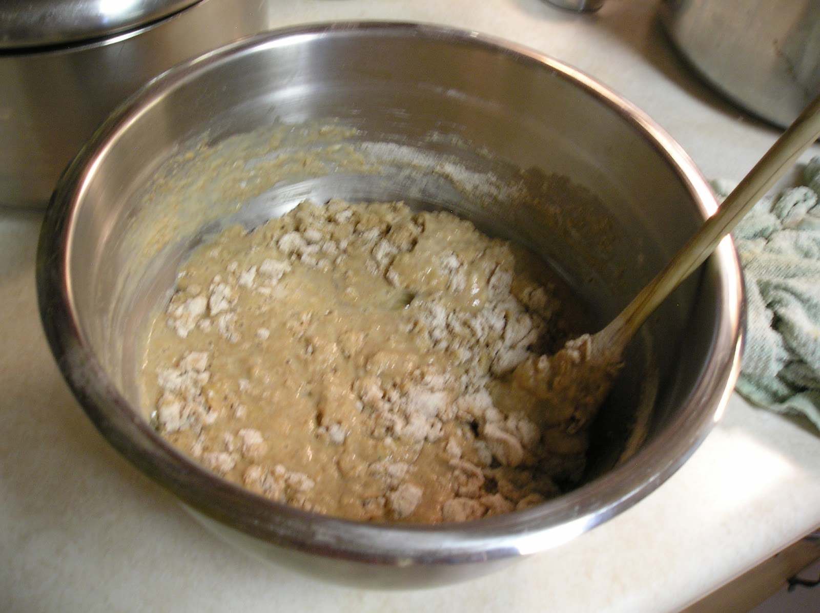 Thoughts from Frank and Fern: Making Whole Wheat Bread