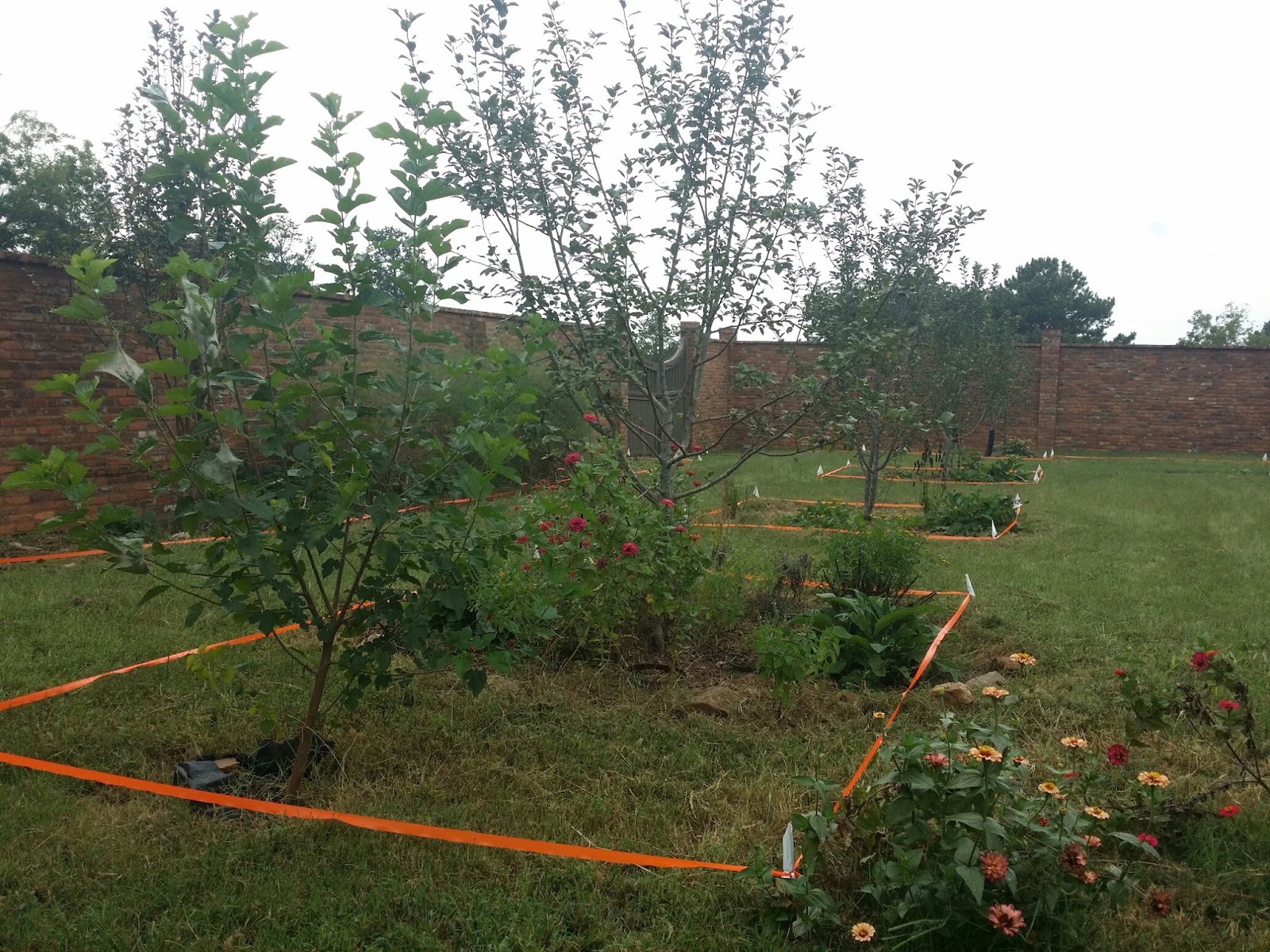 TARA DILLARD: Designing an Enclosed Fruit Orchard