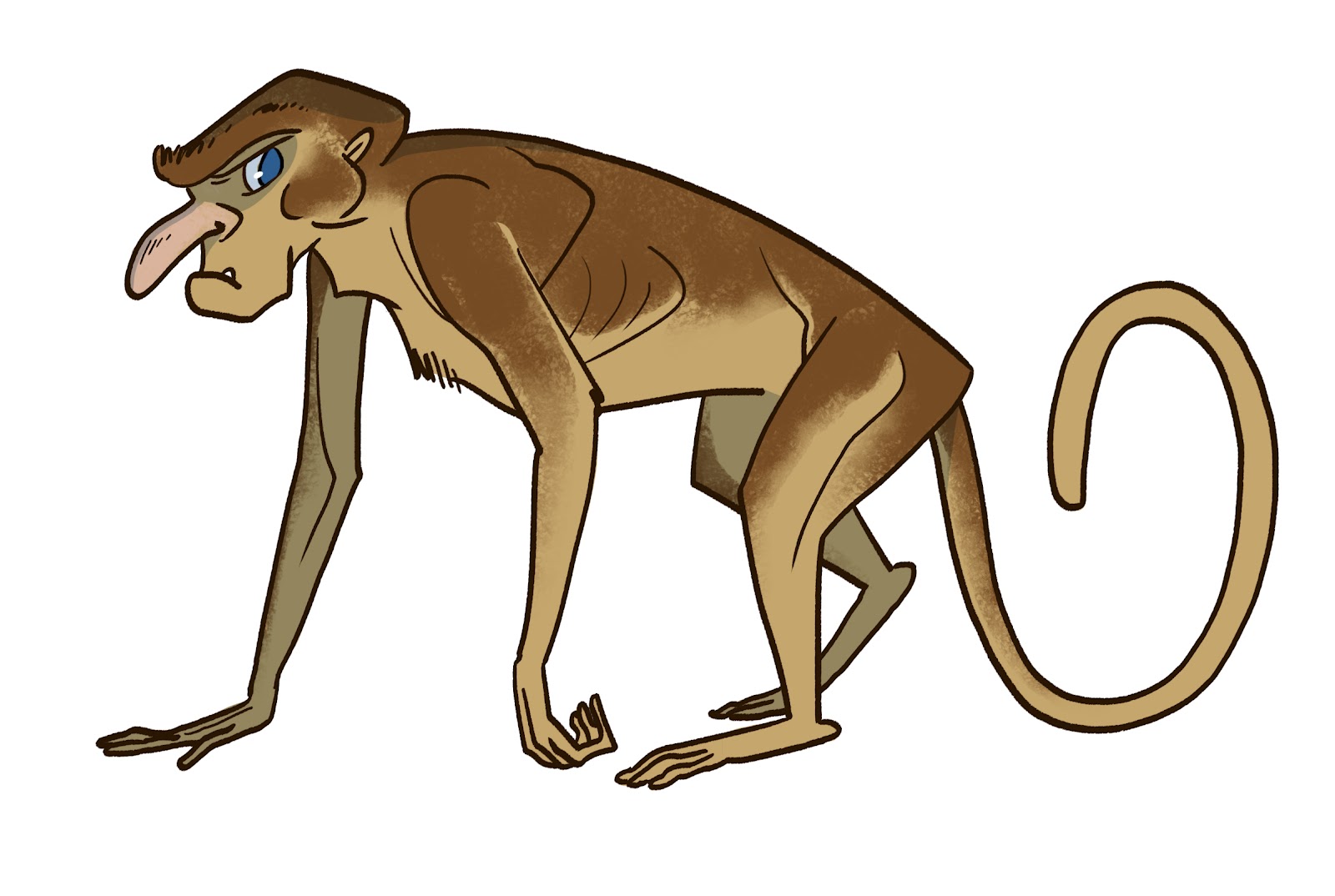 Lark Animation - Blog: Proboscis Monkey "Knows"