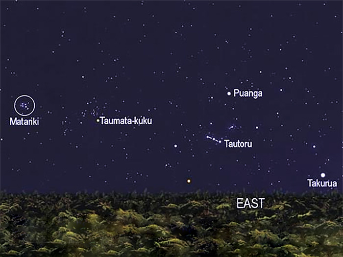 Puanga- ever heard of it? What is the difference between Matariki and ...
