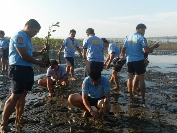 MADYAAS PEN: Aklan PNP Plants 7568 Bakhawan Propagules