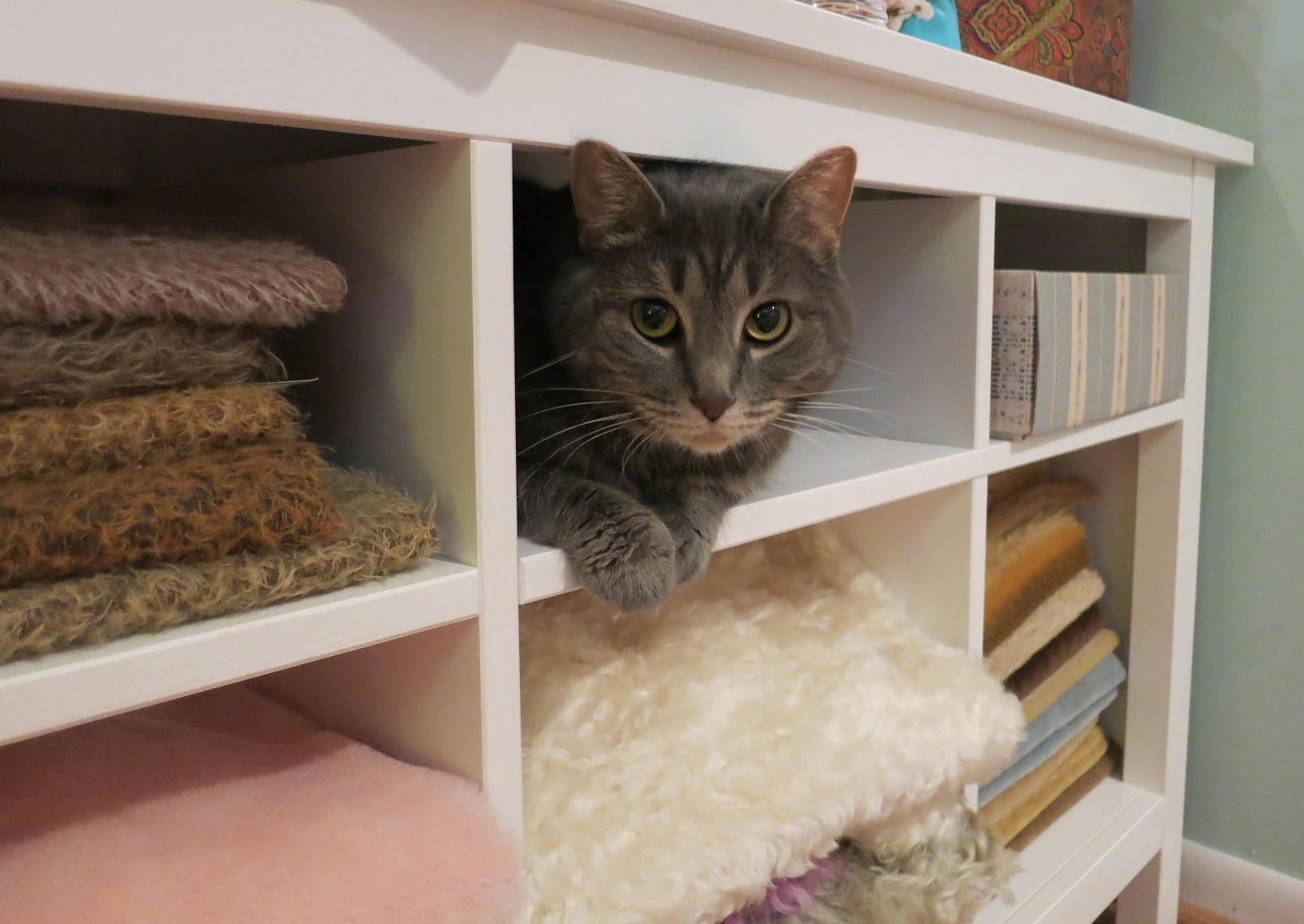 Inside My Studio: I Love My Studio Cat!