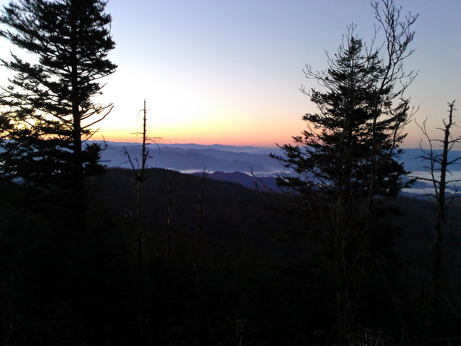 Hikes: Clingmans Dome - AT - Welch Ridge - High Rocks - Bear Creek ...