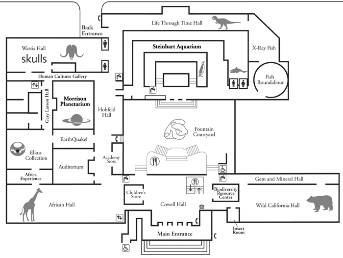 welcome to the museum of joy: A is for Academy of Sciences