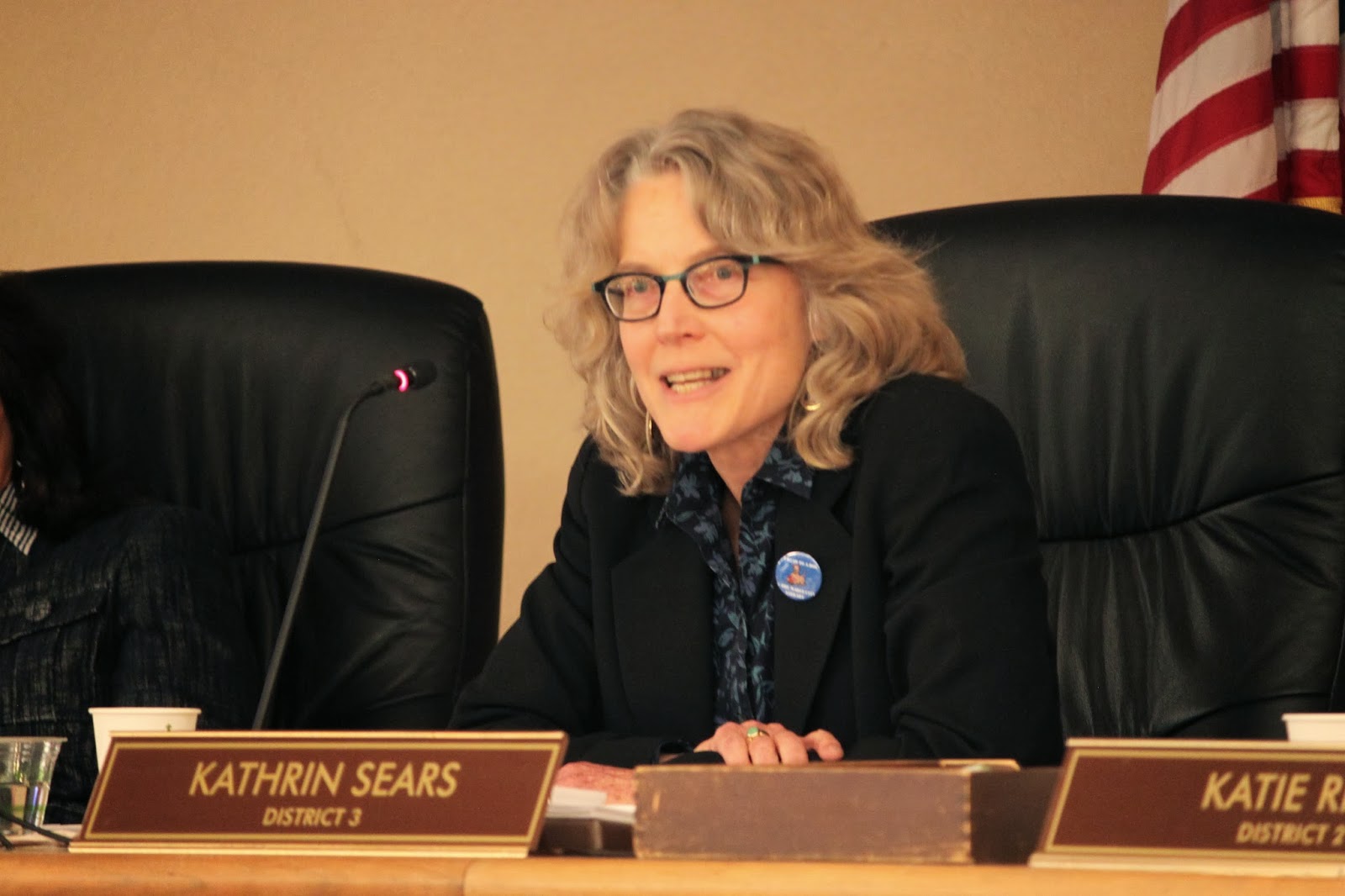 Save Marinwood-Lucas Valley - our community, our future: Citizens Speak ...