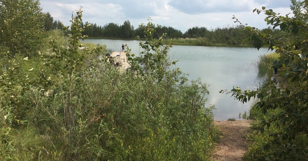 Paddling Near Edmonton, Alberta, Canada: Cardiff Pond