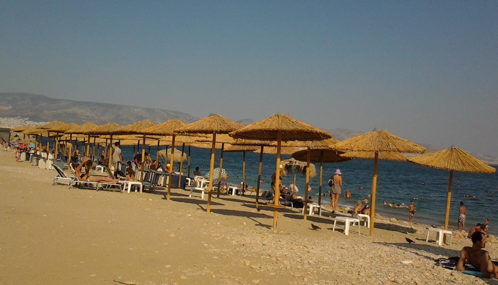REPORTAZ NET: ΦΡΕΑΤΤΥΔΑ