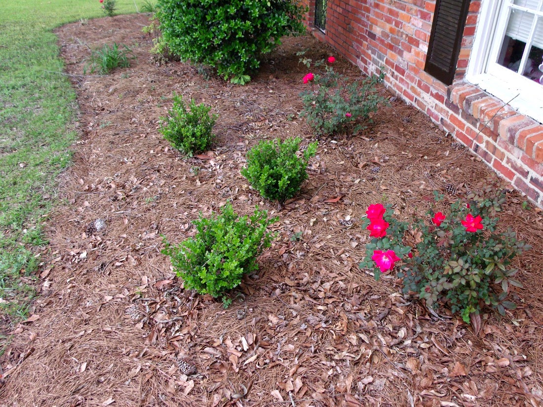 Cultivate Create: Spring Curb Appeal