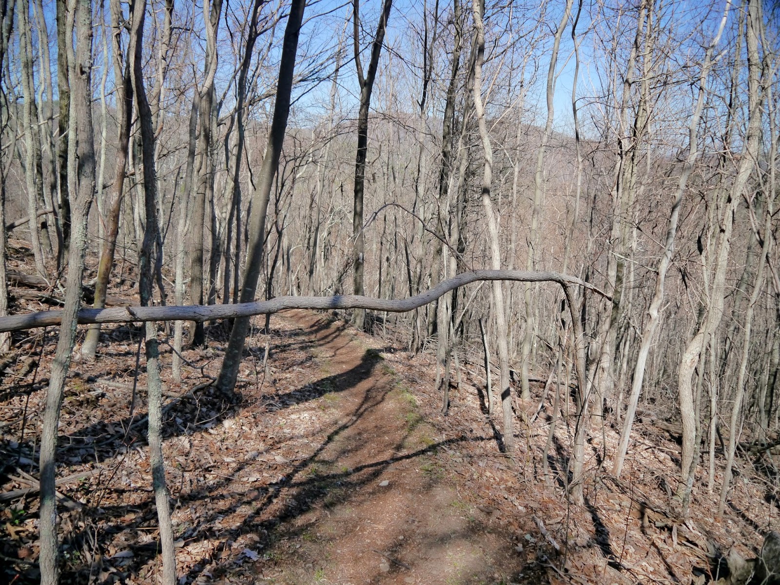American Travel Journal: Riprap Trailhead to Blackrock Gap ...