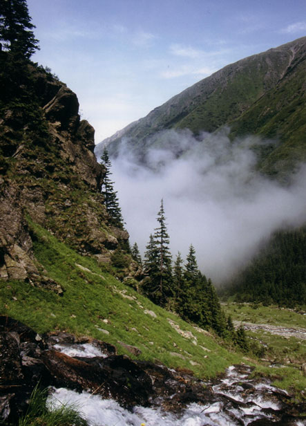 Mistérios Fantásticos: Cárpatos