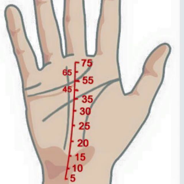 Blog di Cinzia Bois: La tua carriera è nelle tue mani, scopri come ...