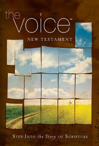The Voice Book Review | The Well Traveled Day