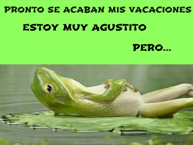 Ciclismo bajo el sol (Blog abierto): SE ACABAN LAS VACACIONES... Ciclismo bajo el sol (Blog abierto): SE ACABAN LAS VACACIONES...