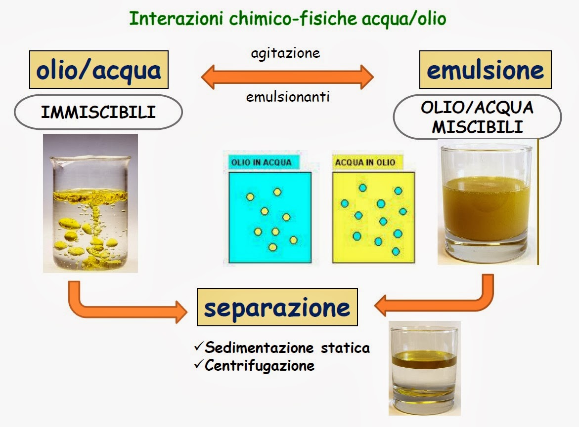 MoliSeb Wine & Food Blog: CULTURA: L'EXTRA DELLA QUALITÀ