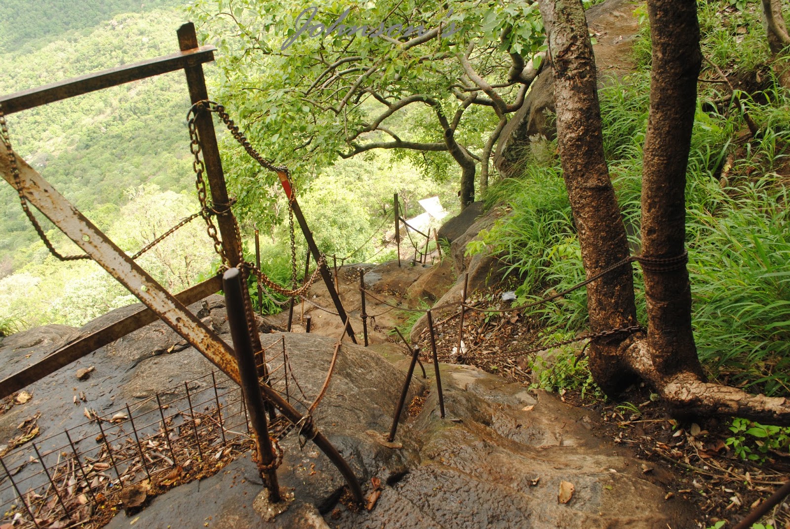 Johnson's: Parvathamalai Trekking