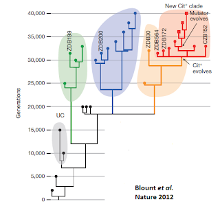La Ciencia explicada: Evolución en tiempo real