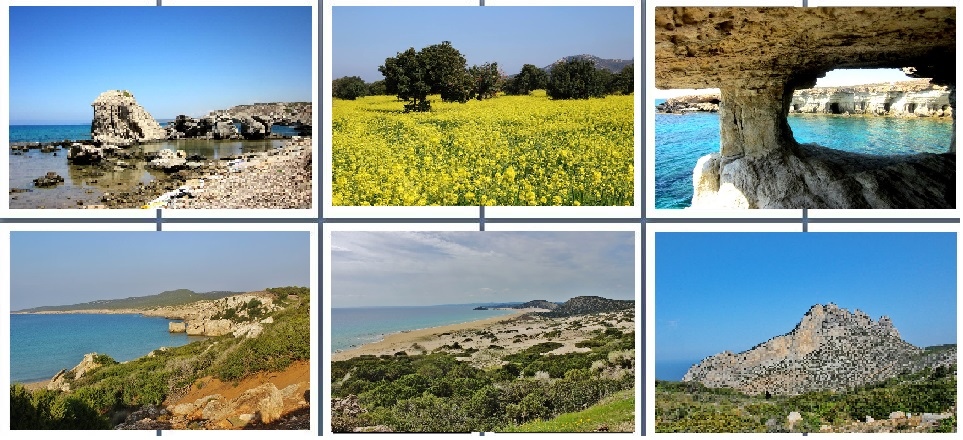 Biodiversity of Cyprus by NGO Protection of the Natural Heritage and ...