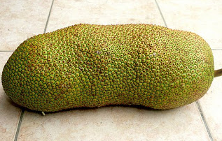 Cempedak | Benefits For Better Life - FRUITS