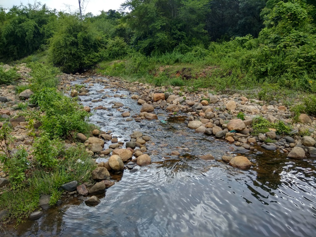 Tamilnadu Tourism: Kalikesam Forest & Waterfalls, Kanyakumari