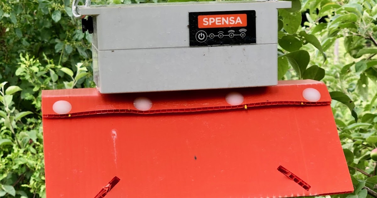 jmcextman: Camera traps? Interesting but what about the future?