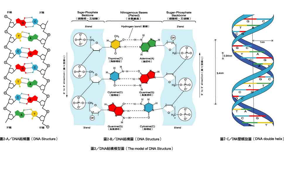 Įdomioji biologija. PGR ~ Mikrobiologija - kas tai?