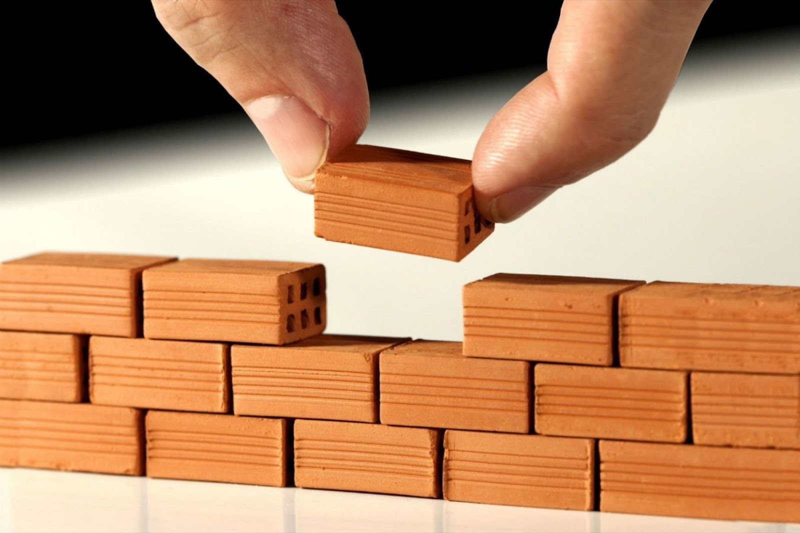 Palabras para vivir.: La mejor asesoría.