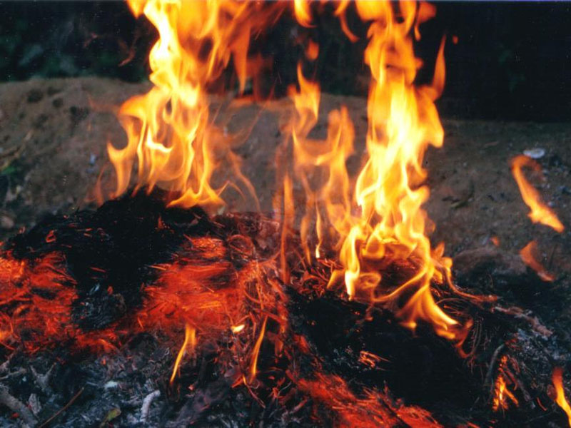 pastor tony domingos: abril 2011