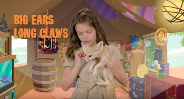 Animal Jam Community Blog: Special Post - Cami Carver - A Leukemia ...